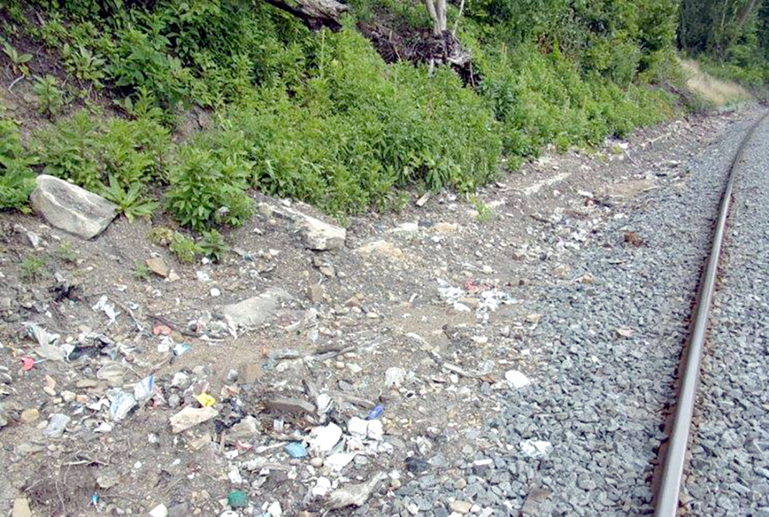 Health board hears buried garbage resurfaced from Toronto derailment ...